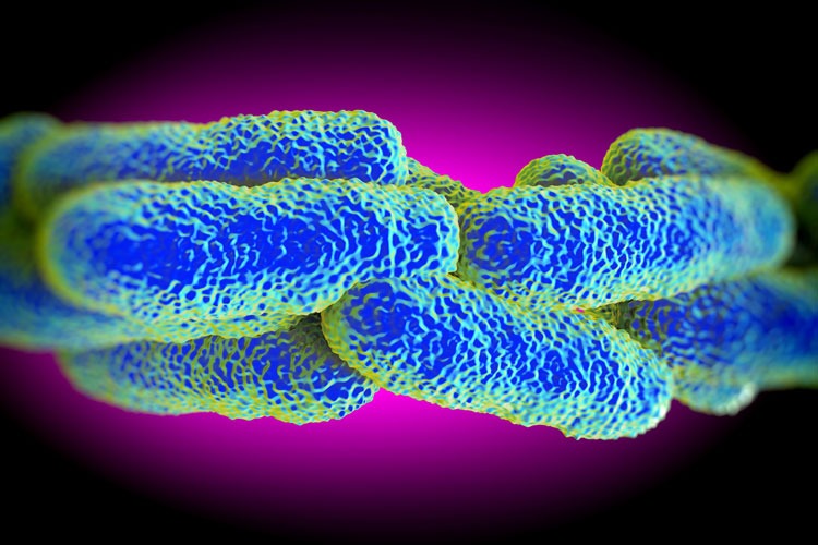 Legionnaires' disease - myDr.com.au