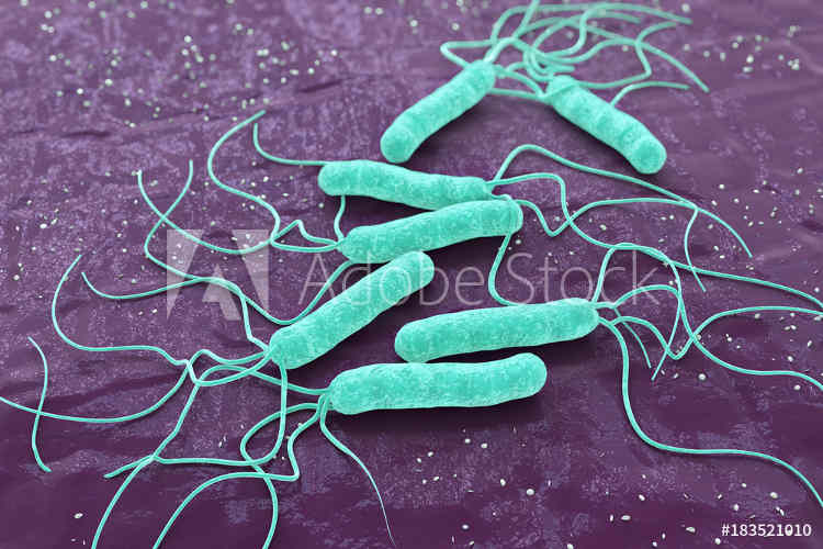 Peptic ulcers: what causes them? - myDr.com.au